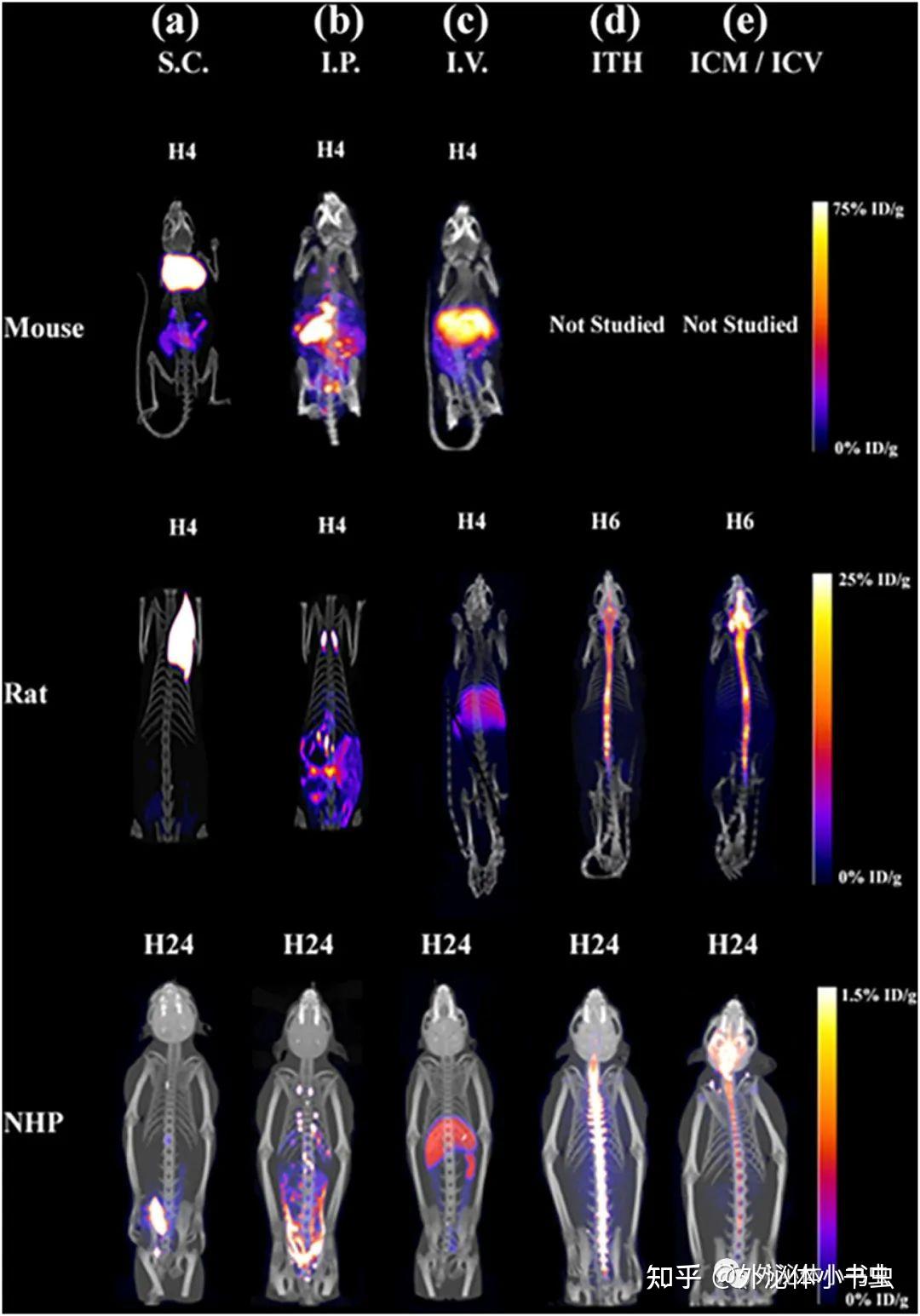 文献分享【Nucl. Med. Biol.】外泌体的不同给药方式在动物体内组织分布 - 知乎