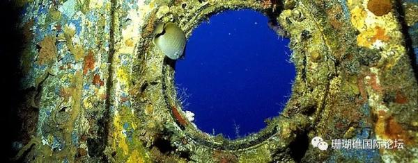 什么是人工渔礁？ - 知乎