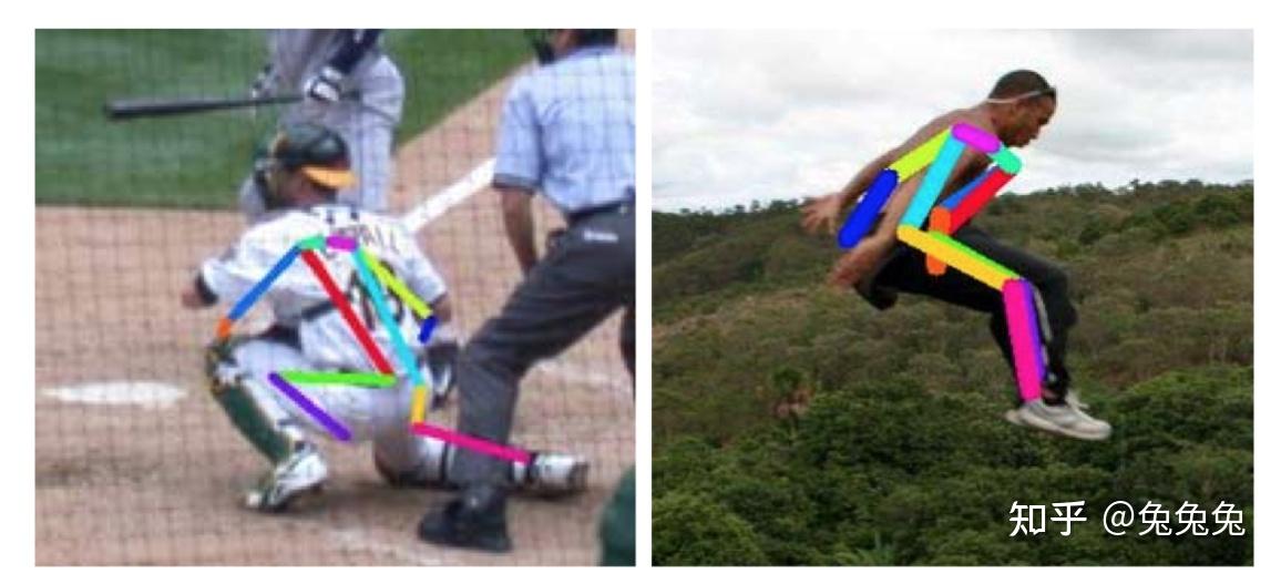 DeepPose全面解析（原理+代码+Colab） - 知乎