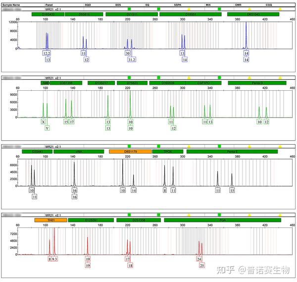 细胞STR鉴定数据解析 - 知乎