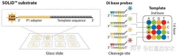 基因测序技术发展历史及一、二、三代测序技术原理和应用 - 知乎