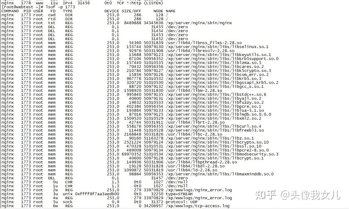 这个Linux命令太牛了！lsof让我在生产环境救火无数次 - 知乎