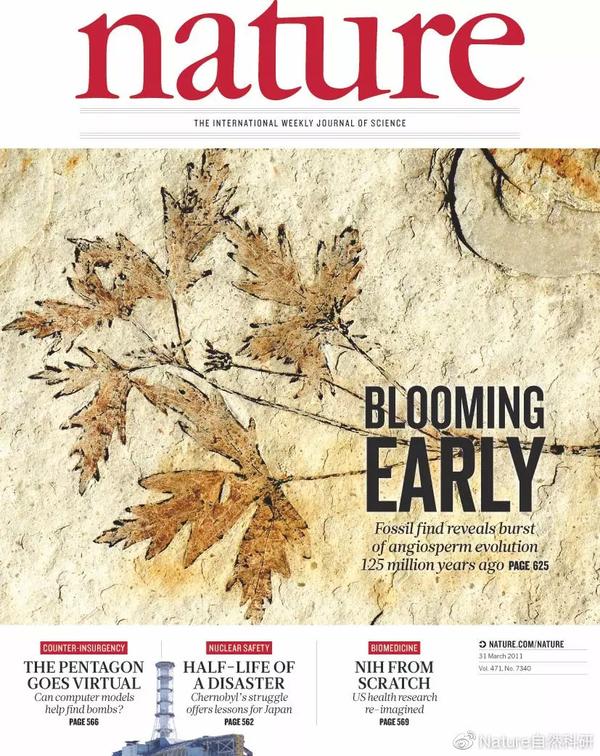 这些登上Nature封面的中国研究成果，你还记得吗？ - 知乎