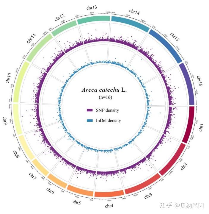 Hyper-seq测序应用——项目文章集锦 - 知乎