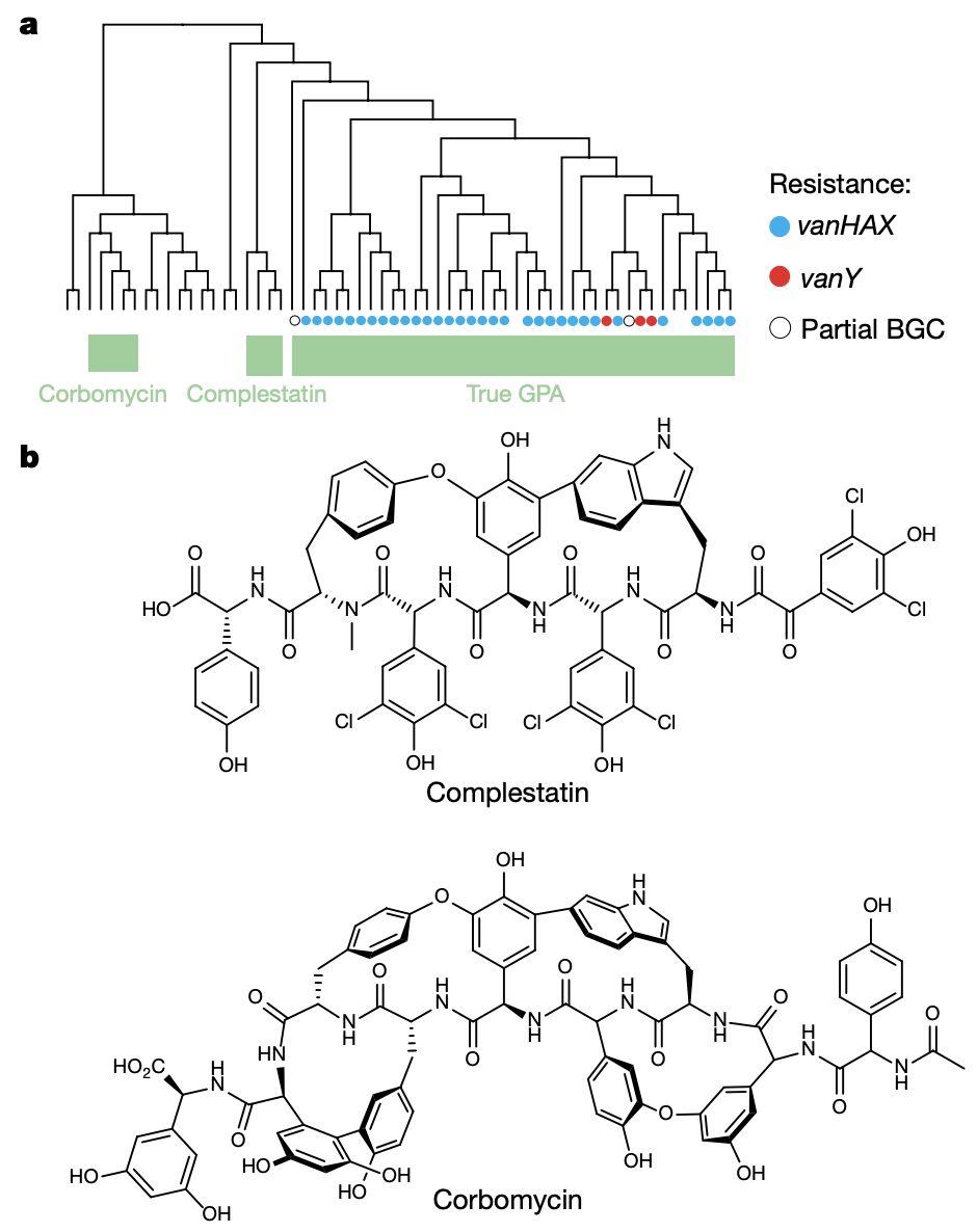 Nature：最新发现的新型抗生素，有望成为终结耐药细菌的撒手锏 - 知乎