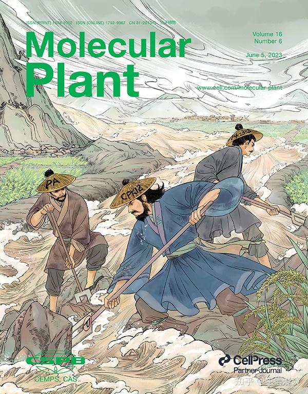 最新！2022年SCI影响因子公布，Cell Research杂志达44.1，附植物全部期刊IF表格 - 知乎