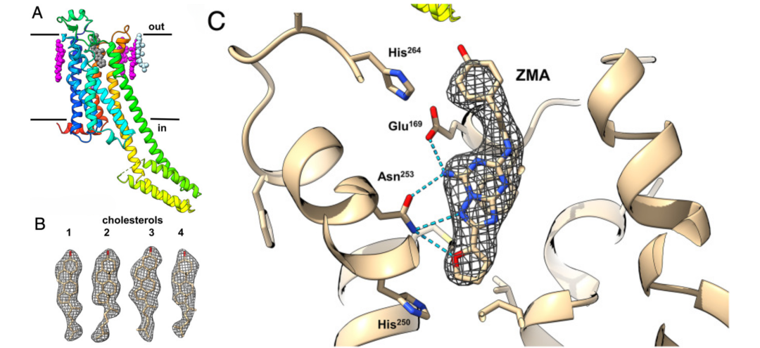 一文读懂微晶电子衍射(MicroED）及其在结构生物学中的应用 - 知乎