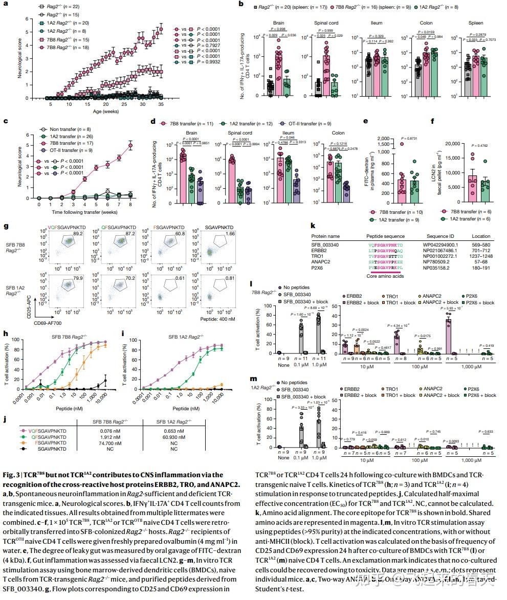 Nature | 肠道炎症促进微生物群特异性的 CD4 T 细胞介导的神经炎症 - 知乎