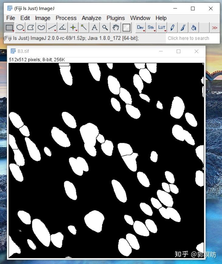 ImageJ使用心得之Particle Analysis （二） - 知乎