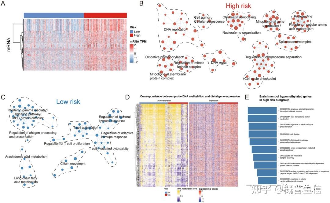 公开单细胞数据如何发到7+ - 知乎