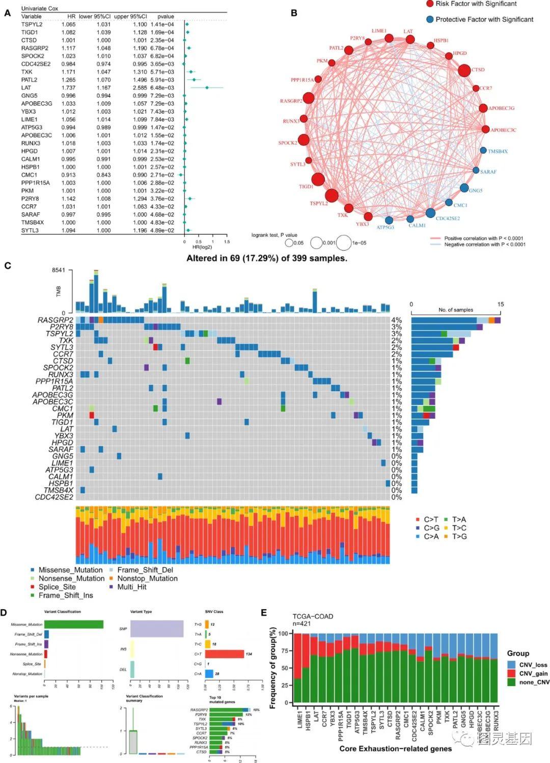 AI+单细胞轨迹分析结肠癌T细胞耗竭 - 知乎