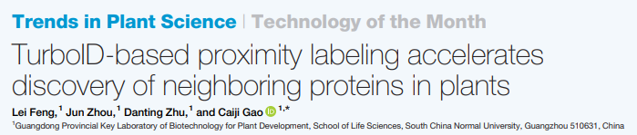 Trends Plant Sci | 基于临近标记技术加速植物中互作蛋白的鉴定 - 知乎