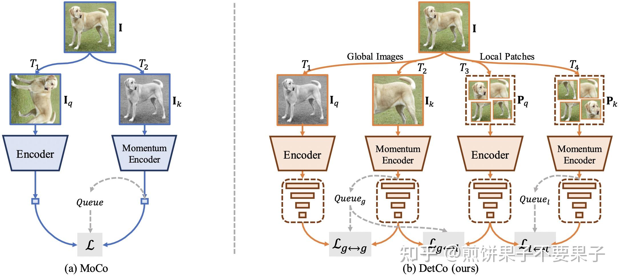 【全局·局部信息】DetCo: Unsupervised Contrastive Learning for Object Detection - 知乎