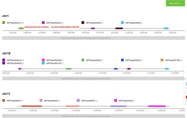 NAR | 整合药用植物组学平台 IMP中文教程（基因组更新到 441 个植物） - 知乎