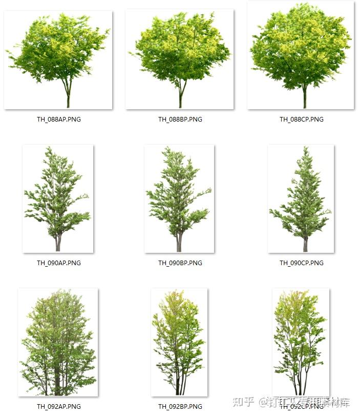 270款超棒的网红小清新手绘风and写实风立面树素材（1.2G） - 知乎
