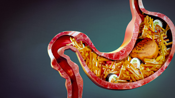 珍爱健康，远离膳食纤维（2）- 口腔、食道与胃 - 知乎