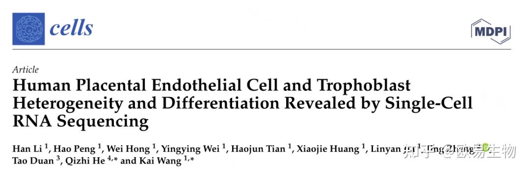 单细胞测序揭示人胎盘内皮细胞及滋养细胞的异质性和分化 - 知乎