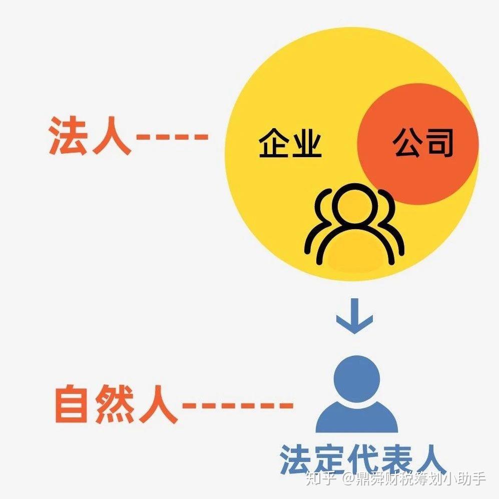 一文看懂公司、分公司、子公司、有限公司、企业、个体户区别 知乎