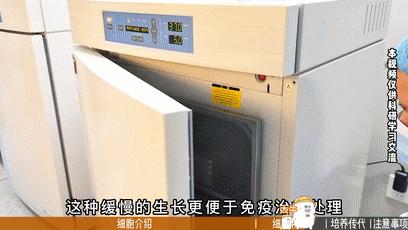 Pan02细胞培养，小鼠胰腺癌细胞培养攻略 - 丰晖生物 - 知乎