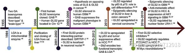 氨基酸的转氨、联合脱氨与脱酰胺作用 - 知乎