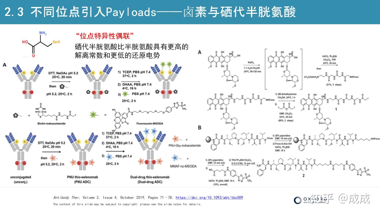 双载荷ADC的构建思路| Antibody-drug conjugates with dual payloads - 知乎