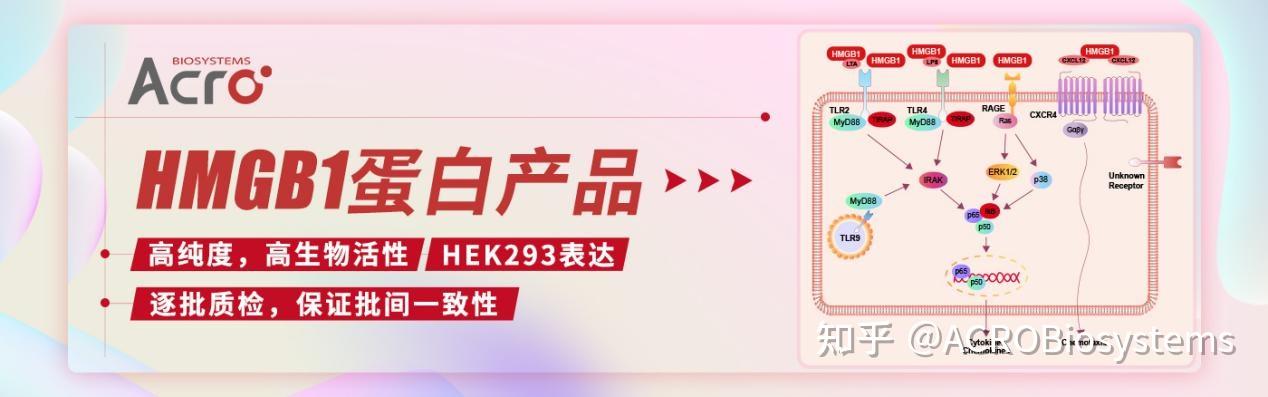 【双重剑客】HMGB1——炎症反应与癌症的重要靶点 - 知乎