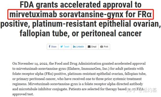 科普|一个极具潜力的抗癌靶点，叶酸受体α（FRα）知多少？ - 知乎