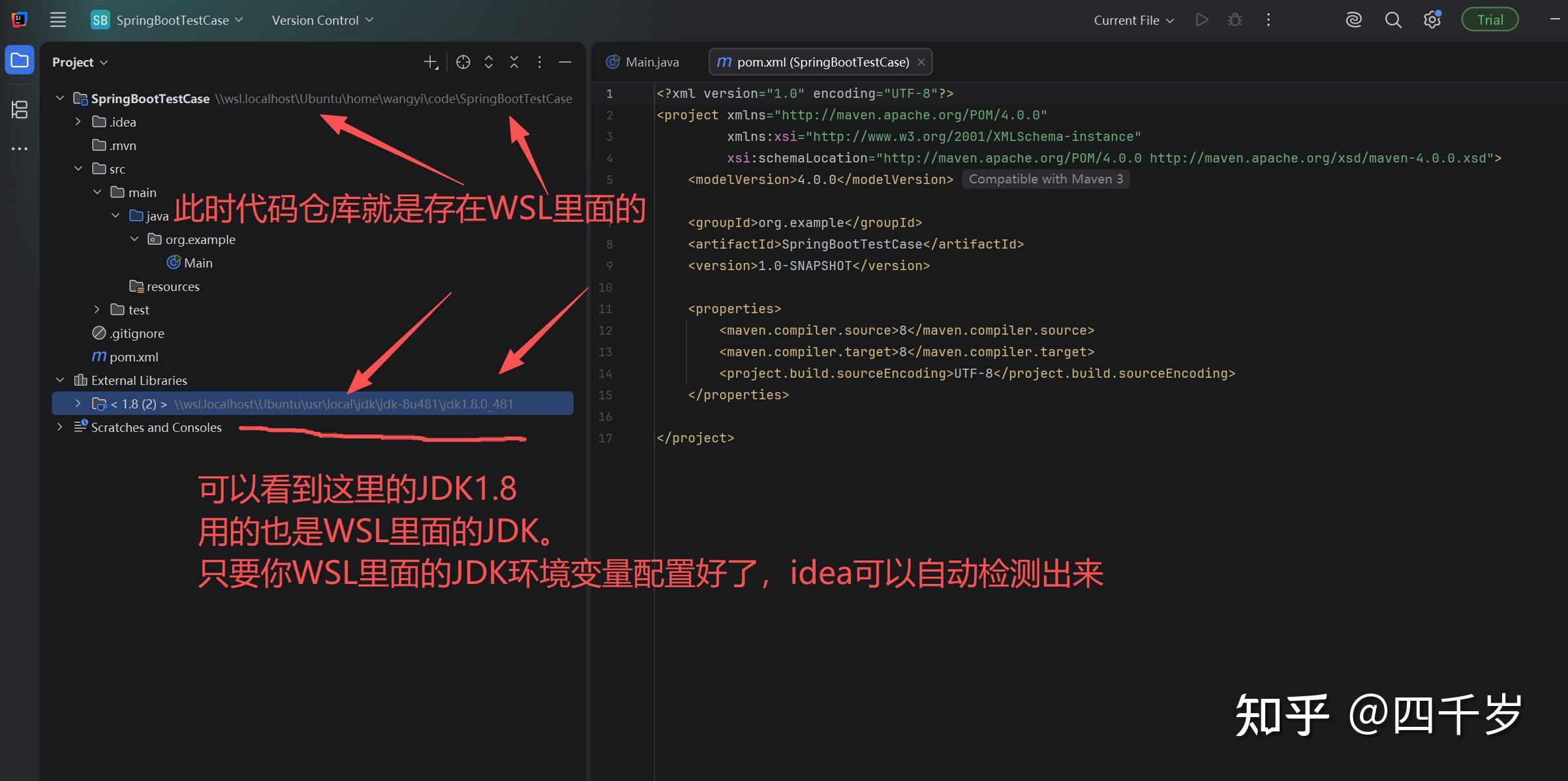 踩坑无数总结：IDEA+WSL 连接、配置、运行全攻略 - 知乎