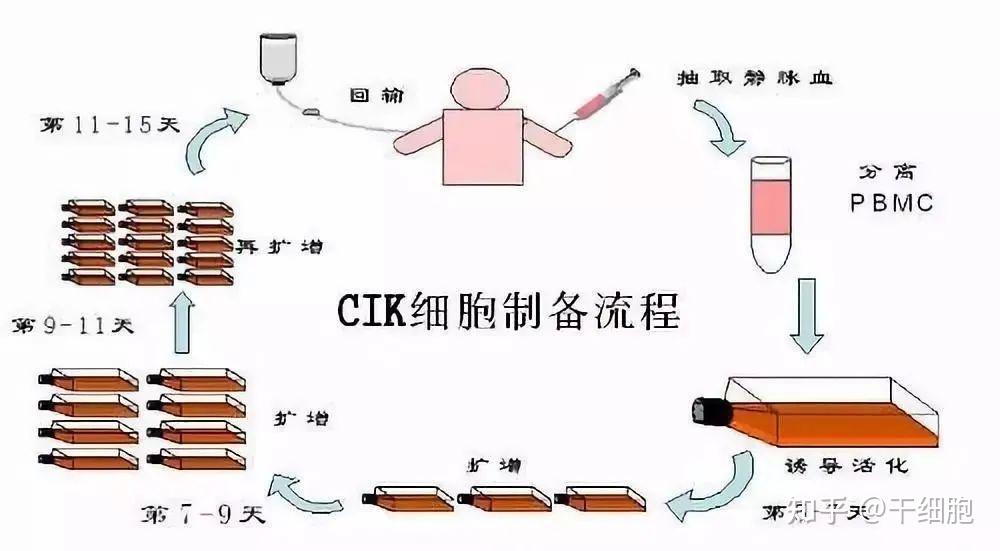CIK细胞和NK细胞有什么不同？ - 知乎