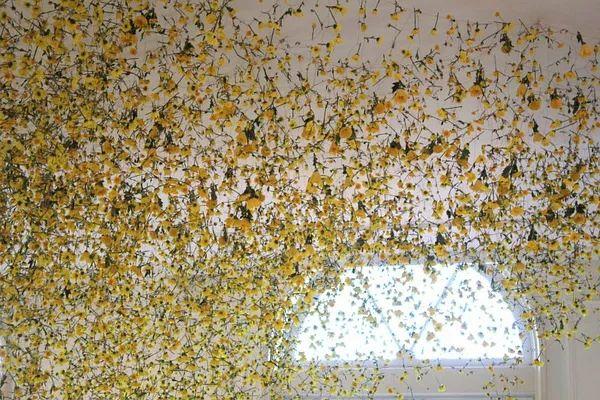 花艺装置艺术家Rebecca Louise Law | 爱马仕的私密晚宴秀翻全场 - 知乎