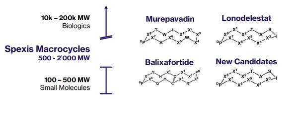快讯 | Spexis双环肽balixafortide治疗B细胞淋巴瘤的临床前数据结果积极 - 知乎