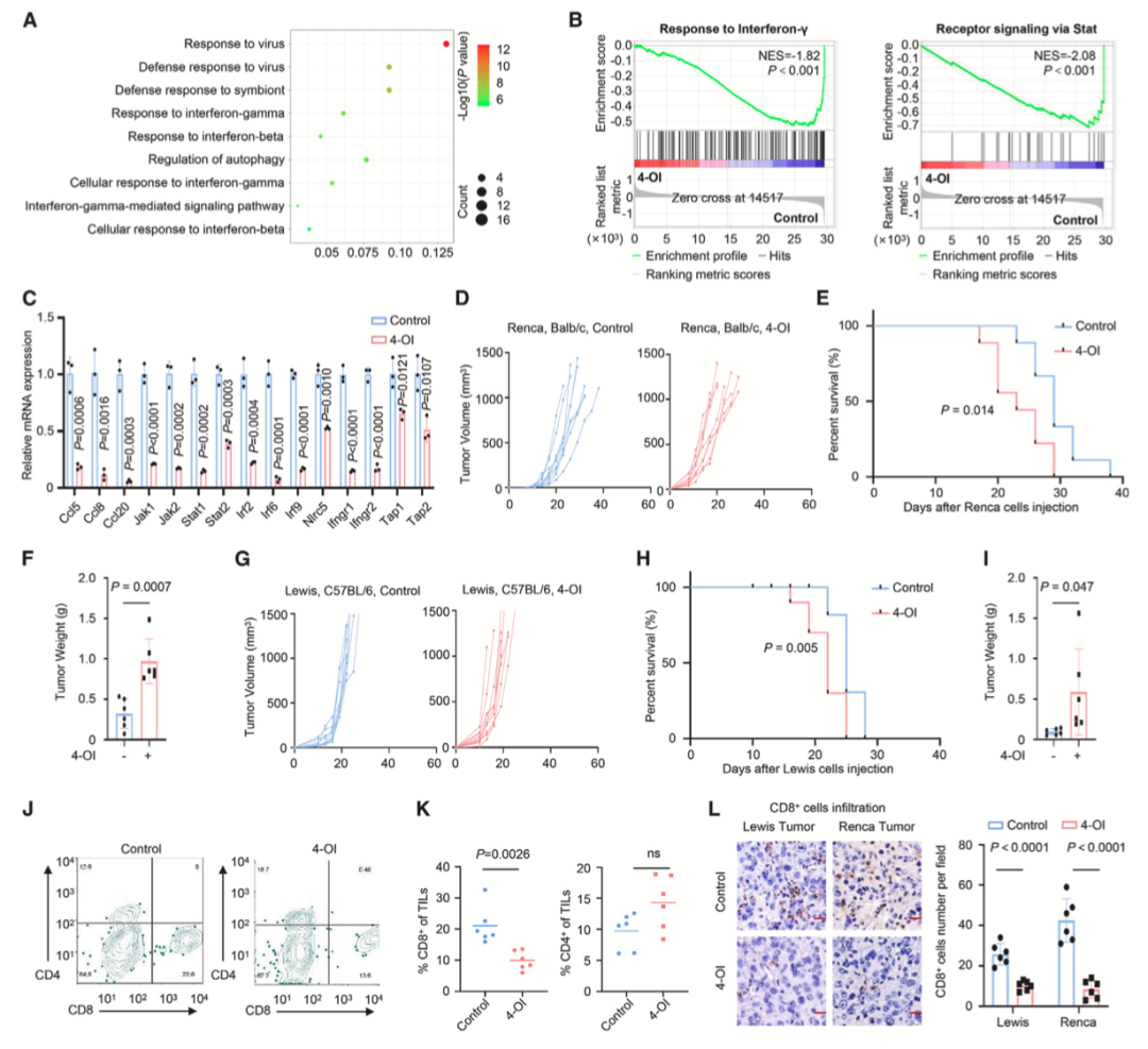Cell Metabolism丨衣康酸转运蛋白SLC13A3通过烷基化介导的PD-L1稳定作用赋予免疫疗法耐药性 - 知乎