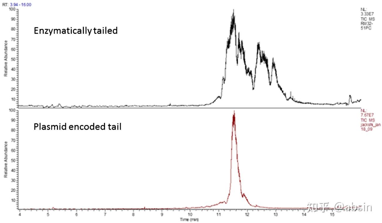 mRNA质量检测之poly A尾检测方法 - 知乎