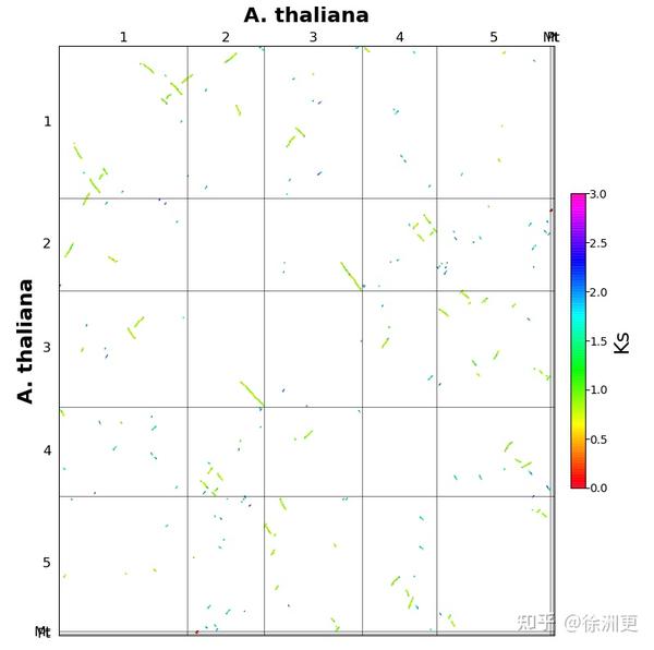 如何用WGDI进行共线性分析(二) - 知乎