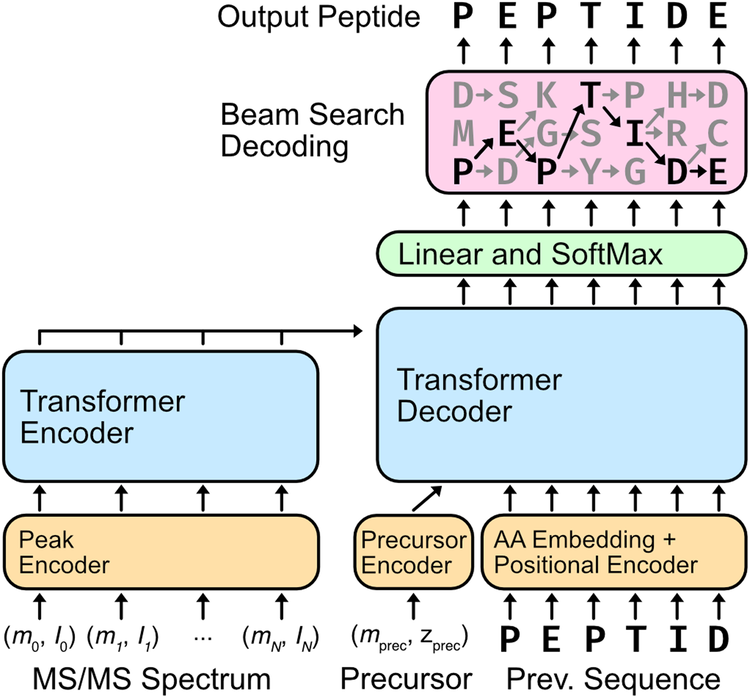 Nat. Commun. | 利用transformer模型将质谱数据序列翻译成肽段序列 - 知乎