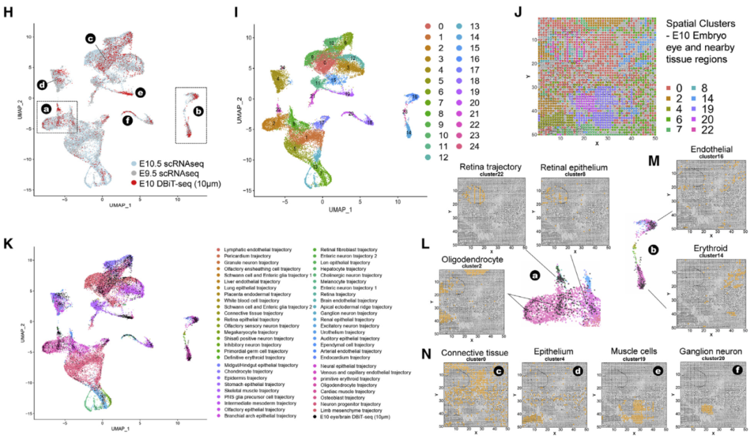 Cell | 高空间分辨率的微流控空间组学DBiT-seq - 知乎
