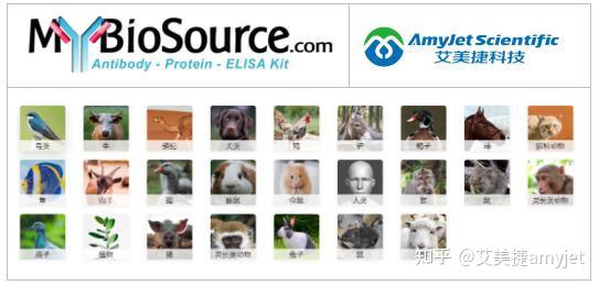 MyBioSource 重组人白细胞介素-24解决方案 - 知乎