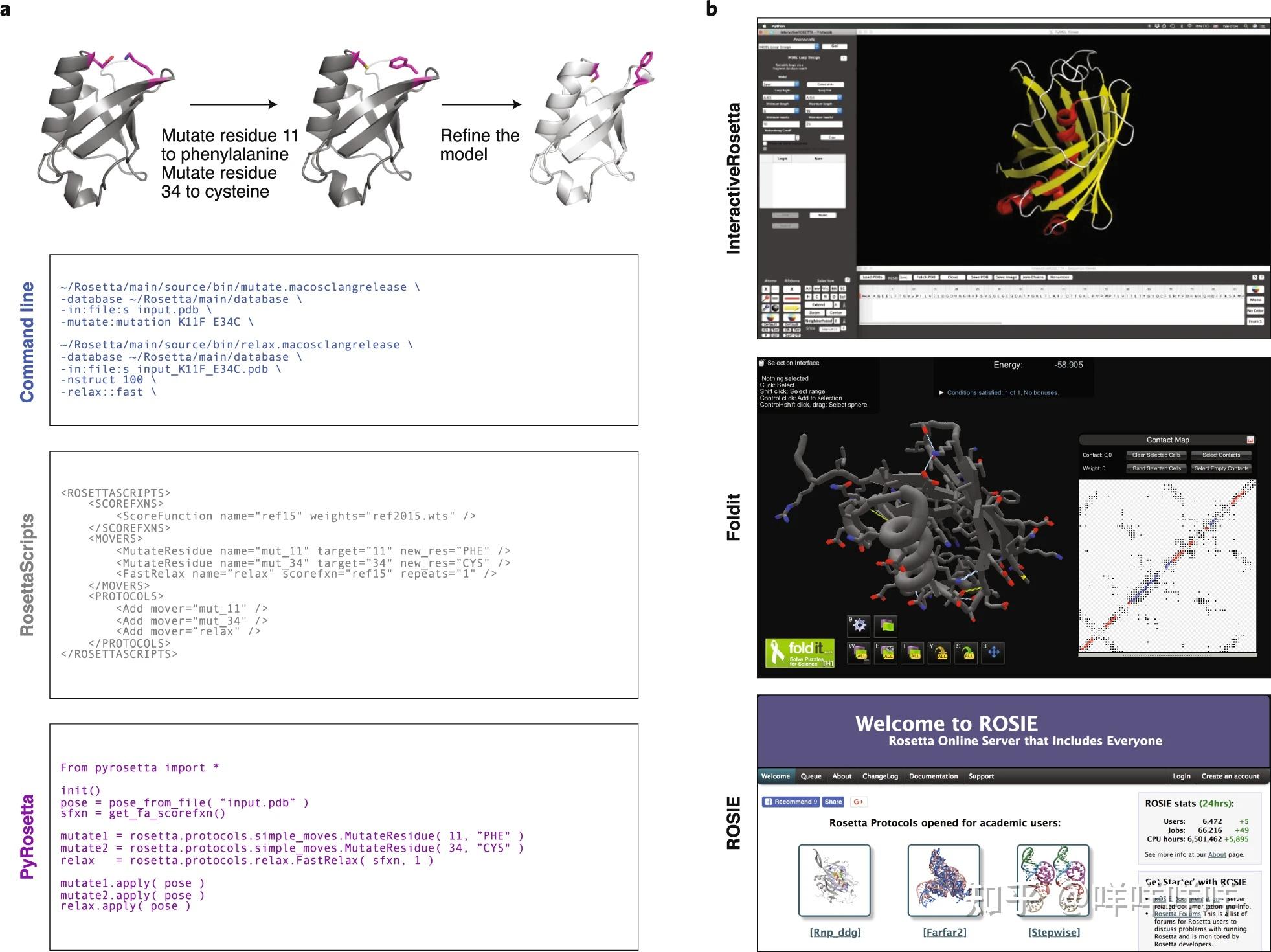 Rosetta methods (2020翻译） - 知乎