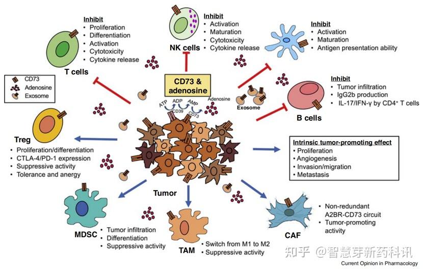 2023年全球10大热门靶点展望 - 知乎