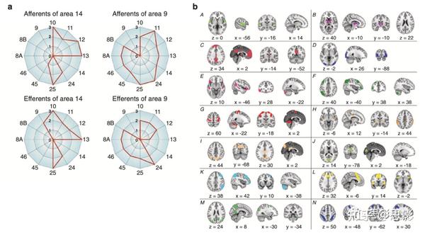 PFC网络在认知控制和执行功能中的作用 - 知乎