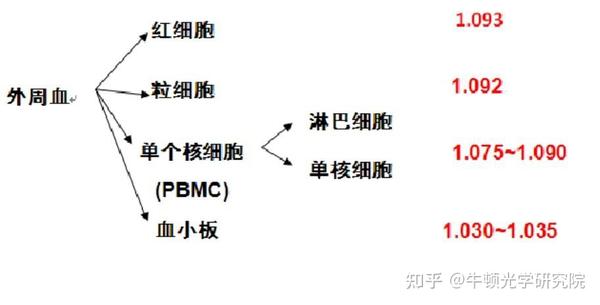 细胞系列【1】PBMC细胞的解读 - 知乎
