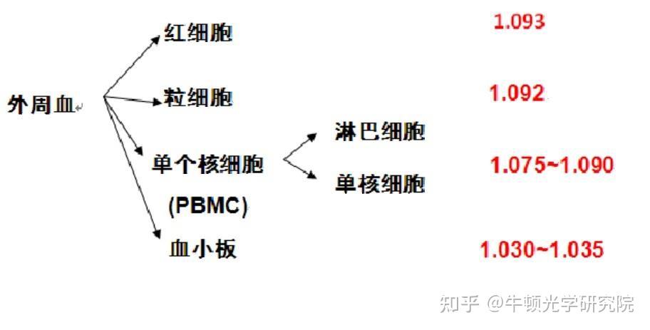 细胞系列【1】PBMC细胞的解读 - 知乎