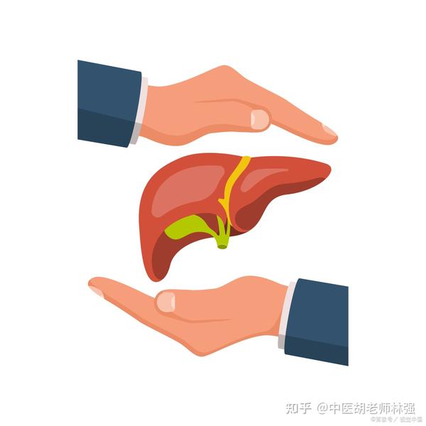 再厉害的脂肪肝,也害怕这3个中成药,从各个角度,化解脂肪肝 知乎