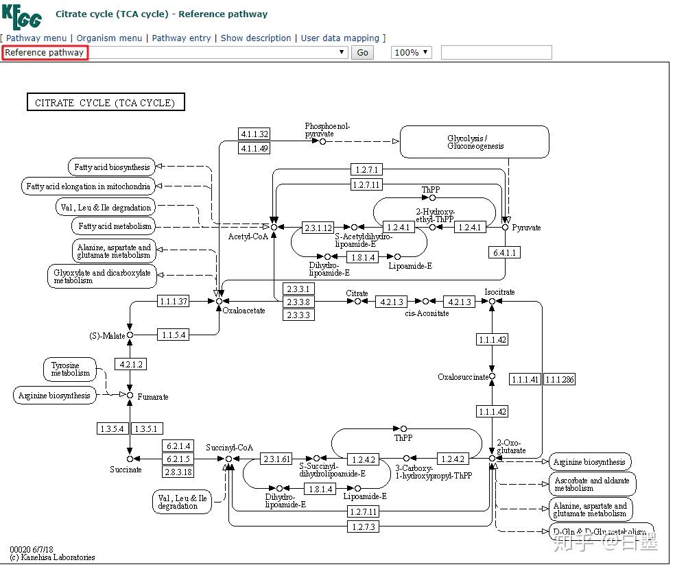 一文快速读懂 KEGG 数据库与通路图 - 知乎