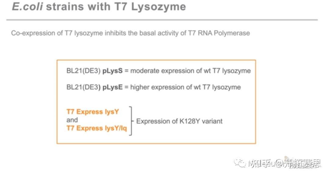 T7启动子表达载体的菌株选择：从BL21(DE3)到BL21(DE3)pLysS - 知乎