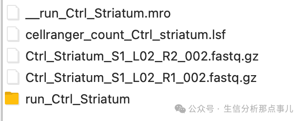 Bug fixed: Cellranger只识别fastq而无法识别fq后缀 - 知乎