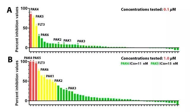 新型高活性高选择性 PAK4 抑制剂的发现 - 知乎
