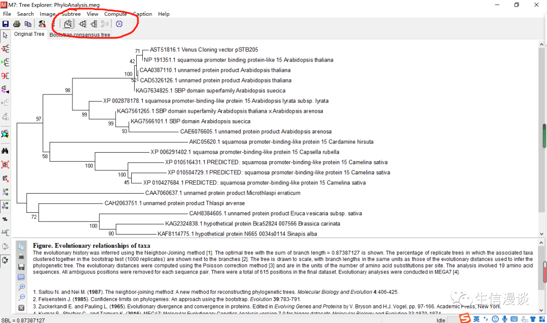 生信小白如何利用MEGA7构建系统进化树 - 知乎