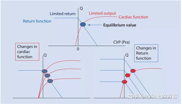 正确理解中心静脉压（CVP） - 知乎