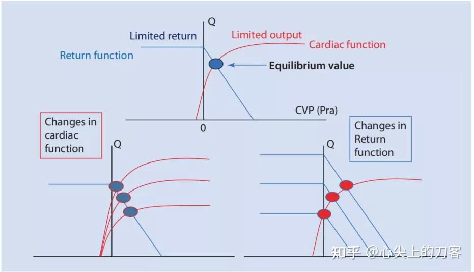 正确理解中心静脉压（CVP） - 知乎